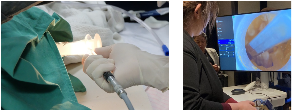 Advances and Controversies in Benign Colorectal Surgery: International Perspectives | Mass ...